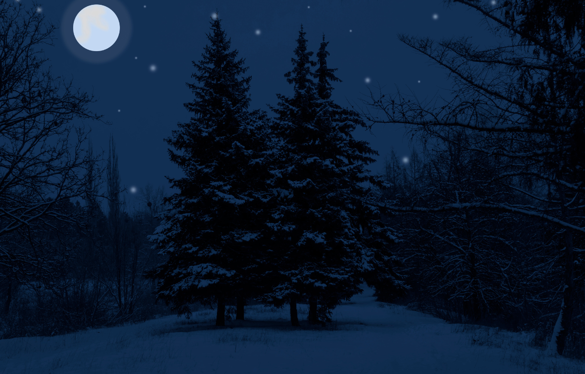 12 Dark Winter Aesthetics Worth Saving To Your Mood Boards - The Detox Lady